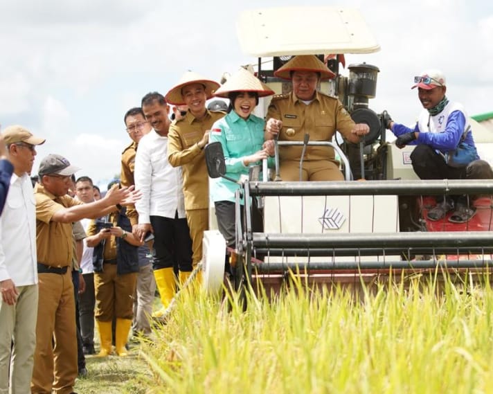 HEBAT! Petani OKI Panen Raya Serentak Bersama Presiden Secara Virtual