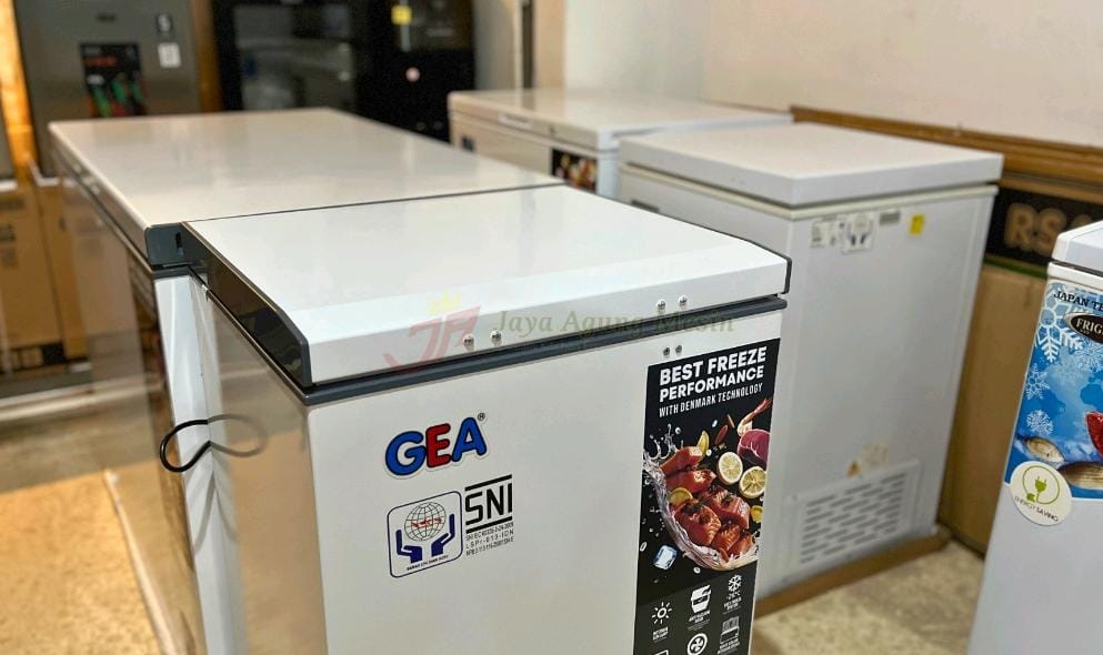 Freezer Box, Faktor Penting yang Sering Diabaikan dalam Usaha Frozen ...