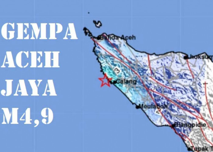 Pagi Ini Gempa Magnitudo 4,6 Guncang Maluku Tenggara, Tak Berpotensi Tsunami
